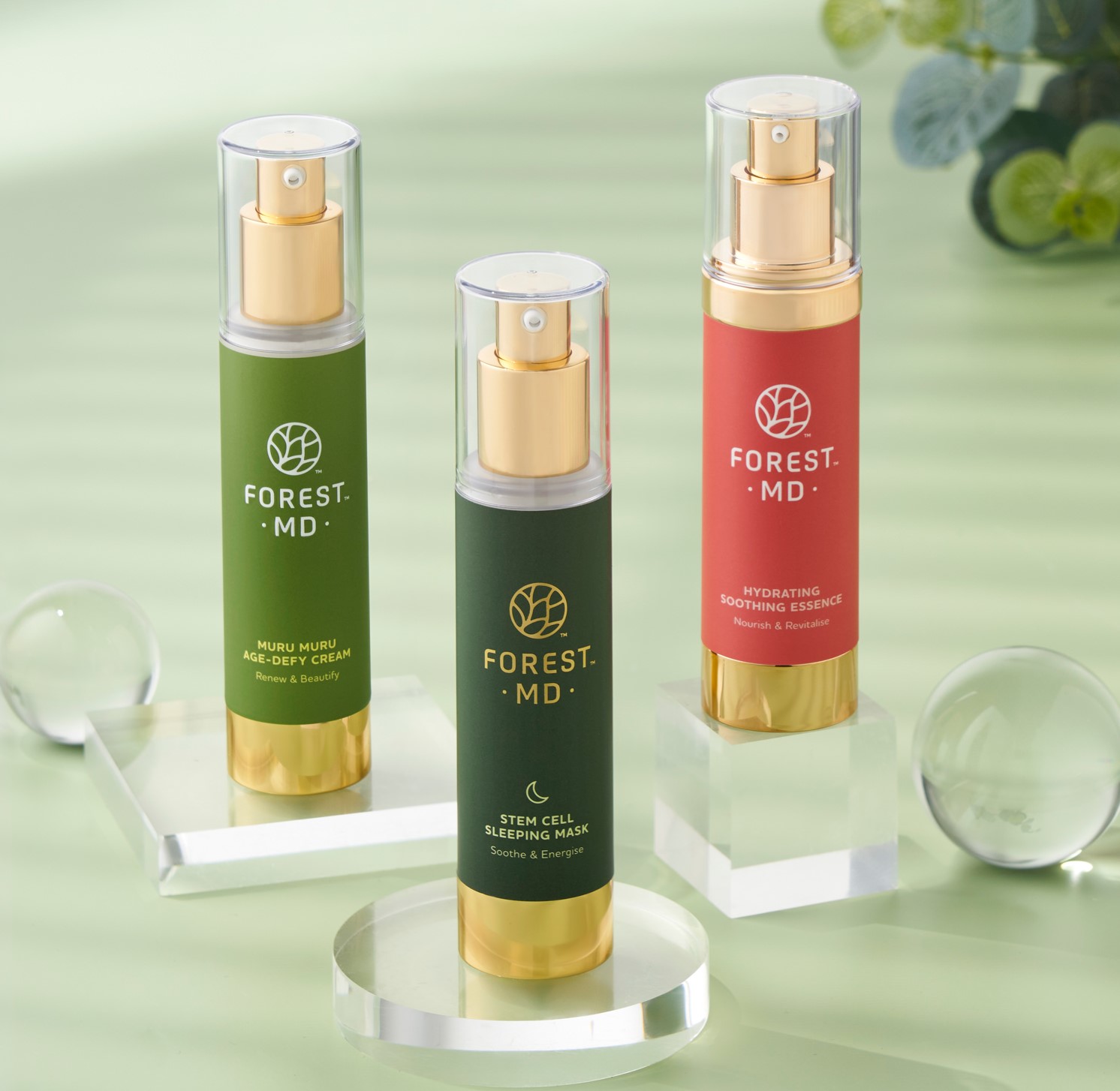 Stay youthful and defy ageing with Forest MD’s Anti-Ageing Glow Set ...